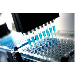 CTTB – Transdisciplinary Centre for Biological Therapies